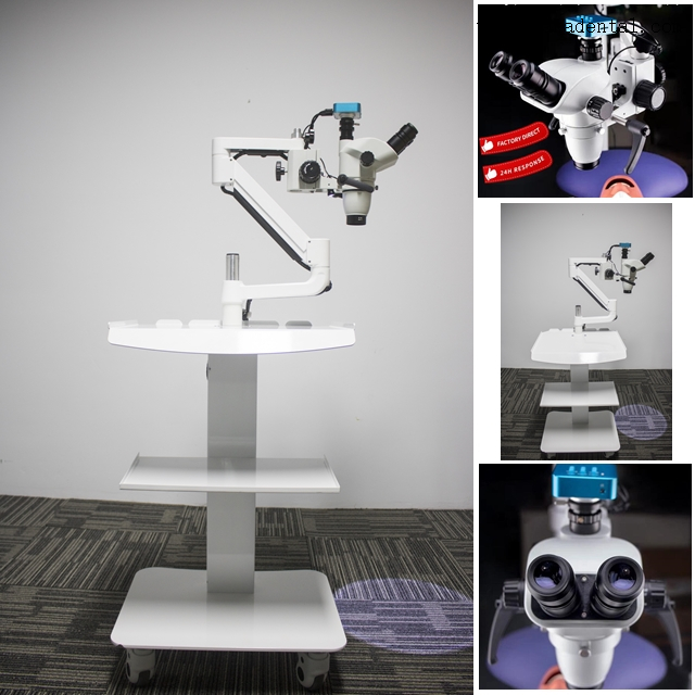 Mobile Dental Endodontic Microscope with Camera - Buy Mobile Dental ...