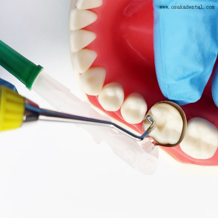 Dental Disposable Wingless Retainer And Matrix Band - Buy Retainer And ...